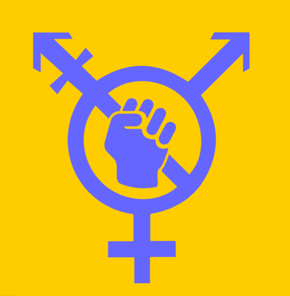 #IWD2019 Online gender-based violence: a privacy matter? | PI