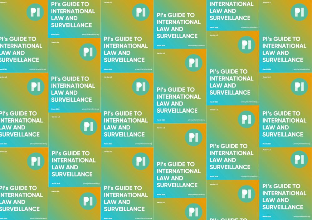 Your NEW guide to surveillance human rights standards is here | Privacy ...